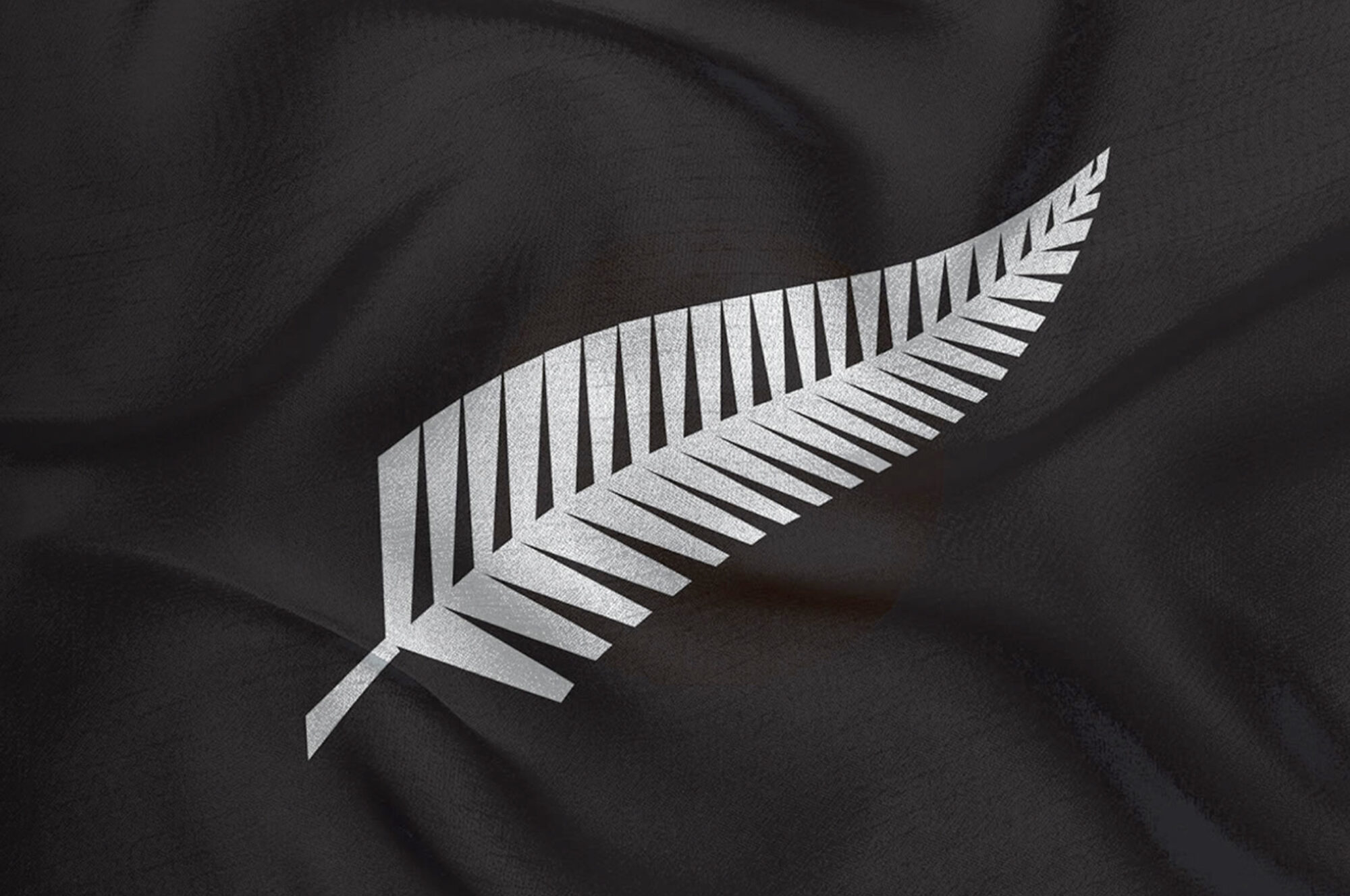 All Blacks Silver Fern - Logo Design - New Zealand | Dave Clark Design